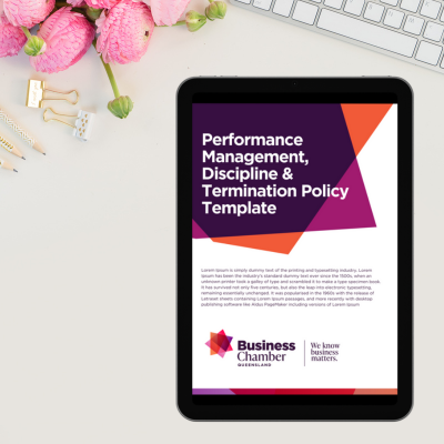 Product: Performance Management, Discipline & Termination Policy Template